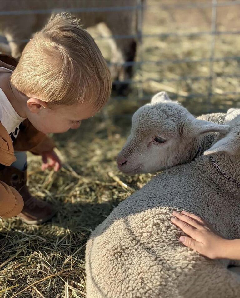 Andelin Family Farm - edible Reno-Tahoe