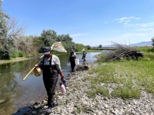 Restoring the Walker River Basin - edible Reno-Tahoe
